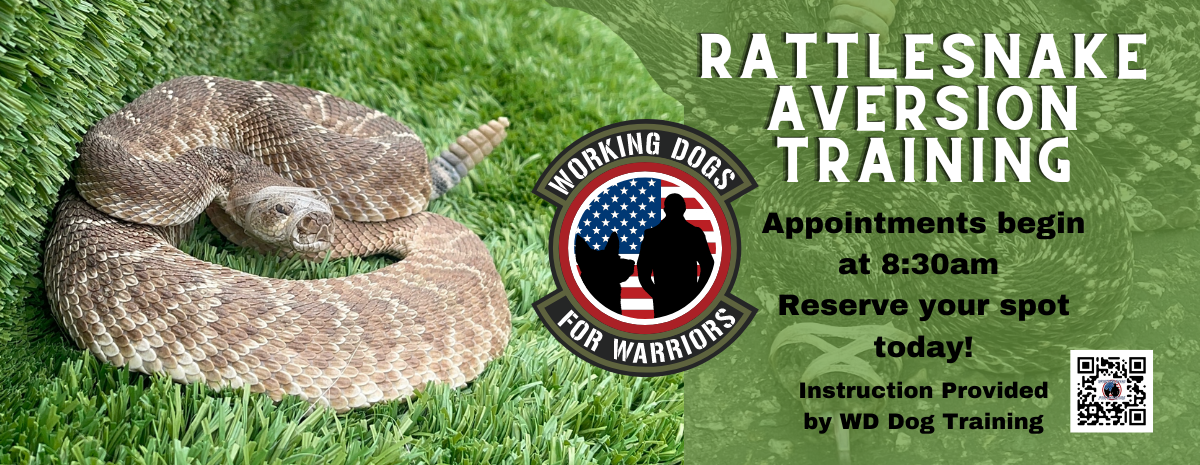 RattleSnake Aversion Training 2023